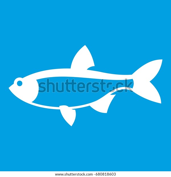 Rudd Fish Icon White Isolated On Stock Vector (Royalty Free) 680818603 Rudd Fish Icon White Isolated On Stock Vector (Royalty Free) 680818603
