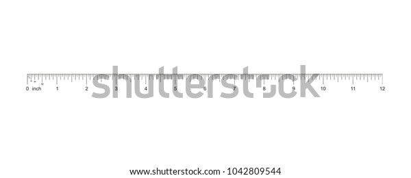 Ruler 12 Inch 12inch Grid Division Stock Vector (Royalty Free) 1042809544