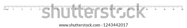 Ruler 20 Inch Measuring Tool Ruler Stock Vector (Royalty Free) 1243442017