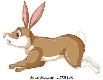 Running Brown Rabbit White Background Illustration Stock Vector ...