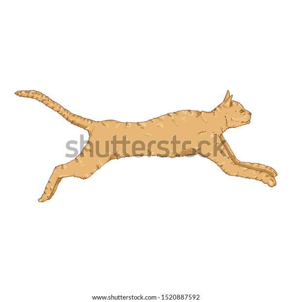 Running Cat Vector Cartoon Feline Illustration Stock Vector (Royalty ...