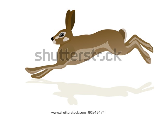 Running Hare Illustration On White Background Stock Vector (Royalty ...