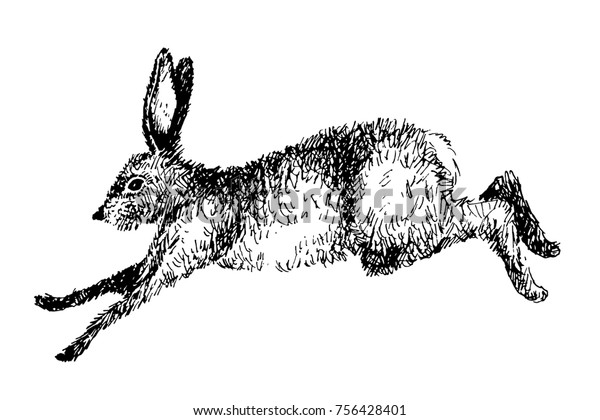 Running Hare Rabbit Vector Illustration Hand: เวกเตอร์สต็อก (ปลอดค่า ...
