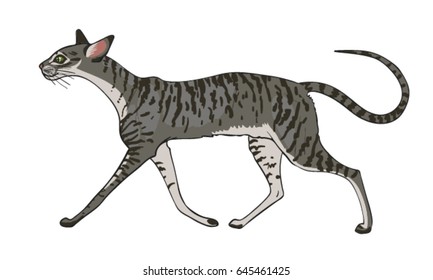 125 Cat Running Side View Stock Vectors, Images & Vector Art | Shutterstock