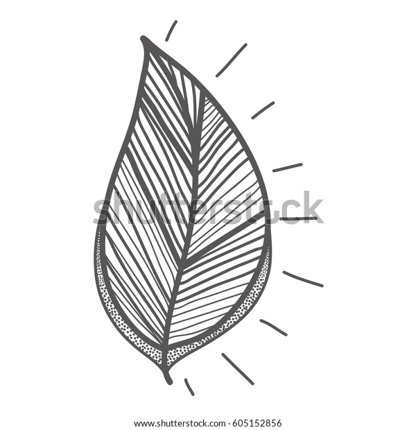 Rustic Leaf Decoration Design Stock Vector (Royalty Free) 605152856 ...