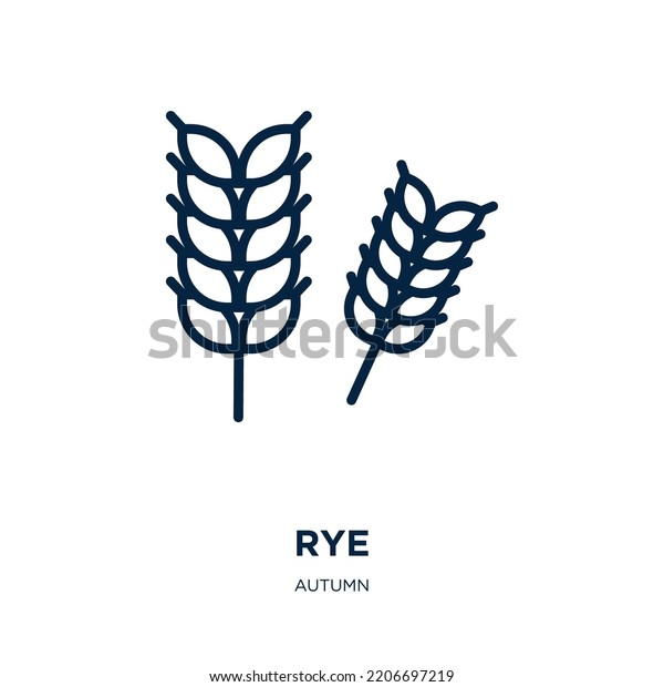 Rye Icon Autumn Collection Thin Linear Stock Vector (Royalty Free ...