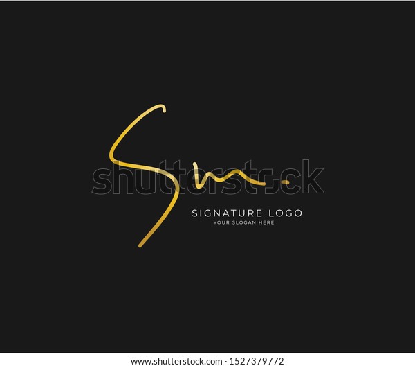 S M Sm Initial Signature Handwriting Stock Vector (Royalty Free) 1527379772