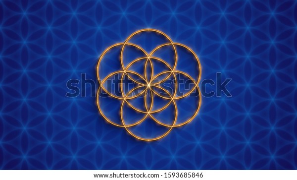 Sacred Geometry Seed Life Vector Art Stock Vector (Royalty Free ...