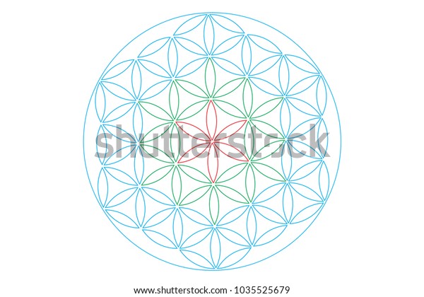 Sacred Geometry Vector Symbol Flower Life Stock Vector (Royalty Free ...