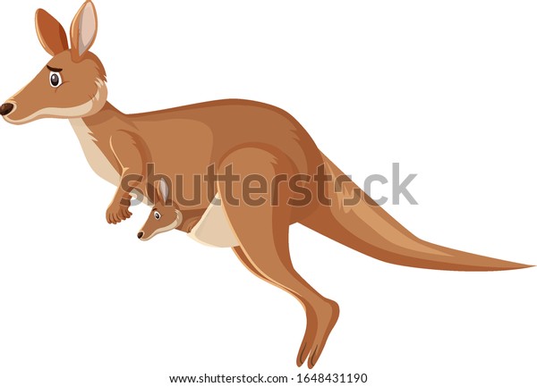 Sad Kangaroo Standing On White Background Stock Vector (Royalty Free ...