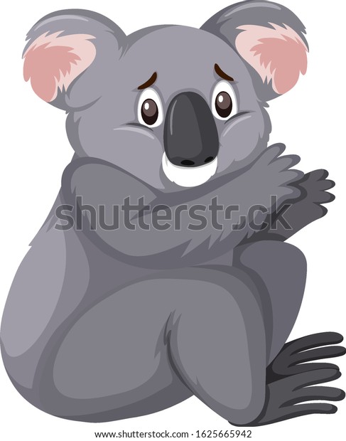 Sad Looking Koala On White Background Stock Vector (Royalty Free ...