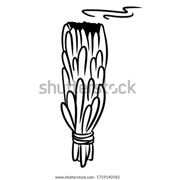 Sage Stick Hand Drawn Smudge Doodle 库存矢量图（免版税）1759140182 | Shutterstock