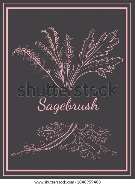 Sagebrush Postcard Poster Hand Draw Branch Stock Vector (Royalty Free ...
