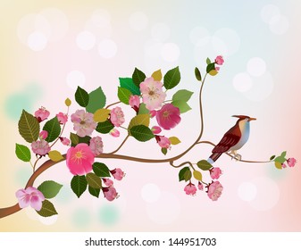 Sakura Bird Spring Postcard: vector de stock (libre de regalías ...