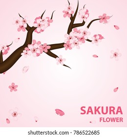 Sakura Flower Banner Vector Illustration Stock Vector (Royalty Free ...