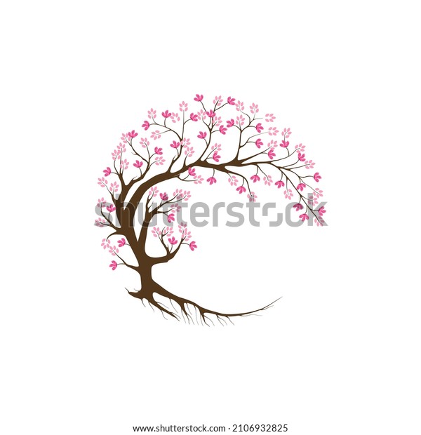 Sakura Tree Isolated On White Background Stock Vector (Royalty Free ...
