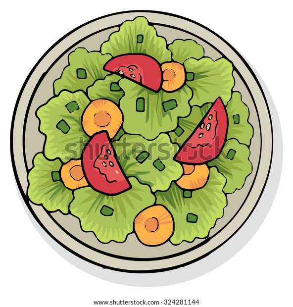 Salad Bowl Top View Vector Illustration Stock Vector (Royalty Free ...