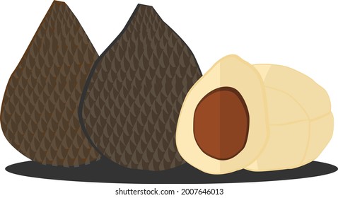 Salak Stock Vectors, Images & Vector Art | Shutterstock