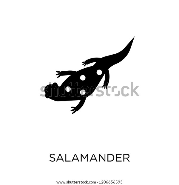 Salamander Icon Salamander Symbol Design Animals Stock Vector (Royalty ...