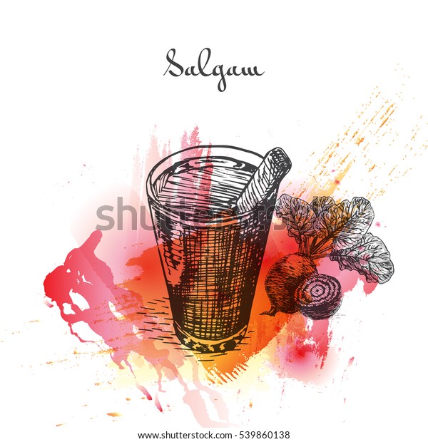 Salgam Watercolor Effect Illustration Vector Illustration: vector de ...