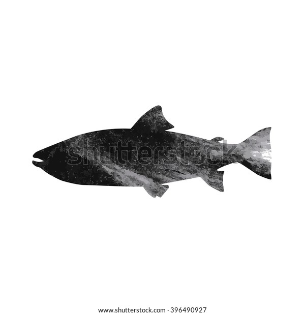 Salmon On White Background Vector Illustration Stock Vector (Royalty ...