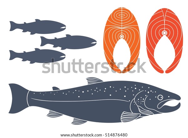 Salmon Vector Illustration Isolated Salmon On Stock Vector (Royalty ...