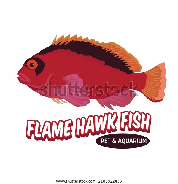 Salt Water Fish Vector Illustration Perfect: เวกเตอร์สต็อก (ปลอดค่า ...