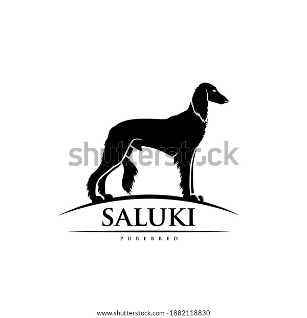Saluki Dog Isolated Vector Illustration Stock Vector (Royalty Free ...