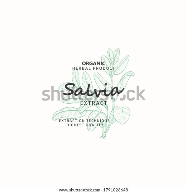 Salvia Symbol Natural Logo Vector Brand Stock Vector (Royalty Free ...