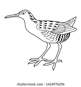 104 Sandpiper Cartoon Images, Stock Photos & Vectors | Shutterstock