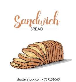 Sandwich Bread Drawing Sketch Style Vector Stock Vector (Royalty Free ...