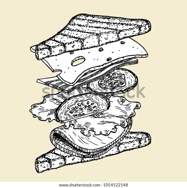 Sandwich Hand Drawn Vector Sandwich Ingredients Stock Vector (Royalty ...