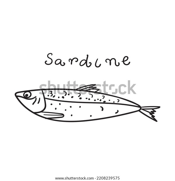 Sardine Outline Hand Drawn Vector Illustration Stock Vector (Royalty ...