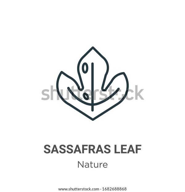 Sassafras Leaf Outline Vector Icon Thin Stock Vector (Royalty Free ...