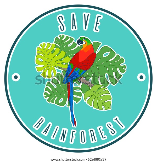 Save Rainforest Poster Mock Design Vector Stock Vector (Royalty Free ...