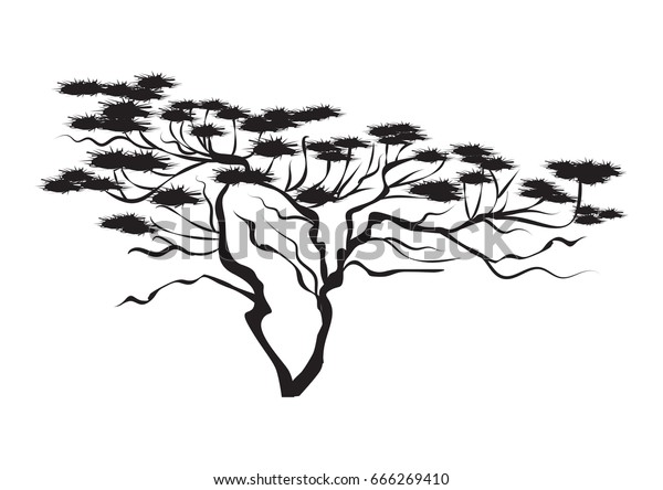 Saxaul Desert Tree Isolated On White Stock Vector (Royalty Free) 666269410