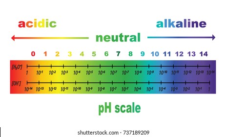 Chart Shows Acidic Neutral Alkaline Ph Stock Vector (Royalty Free ...