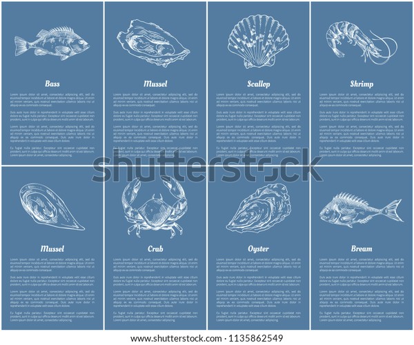 Scallop Clam Posters Set Headlines Text Stock Vector (Royalty Free ...