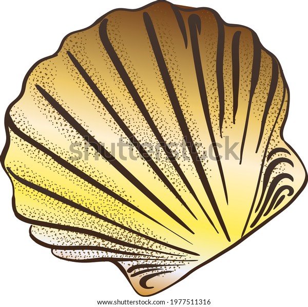 Scallop Sea Shell Sketch Style Realistic Stock Vector (Royalty Free ...