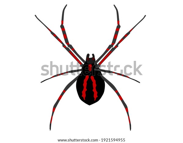 Scary Red Spider On White Background Stock Vector (Royalty Free ...