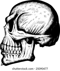 1,144 Skull side profile vector Images, Stock Photos & Vectors ...