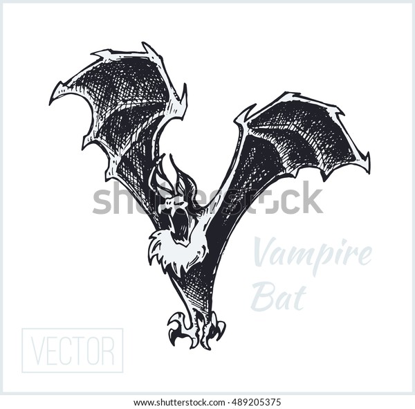 Scary Vampire Bat Illustration Sketch Drawn Stock Vector (Royalty Free ...