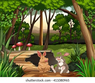 Scene Two Rabbits Forest Illustration Stock Vector (Royalty Free ...