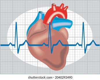 246 Pacemaker Drawing Images, Stock Photos & Vectors | Shutterstock