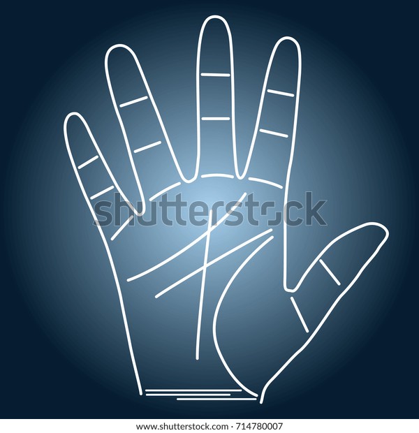 Schematic Linear Drawing Human Palm Lines Stock Vector (Royalty Free ...