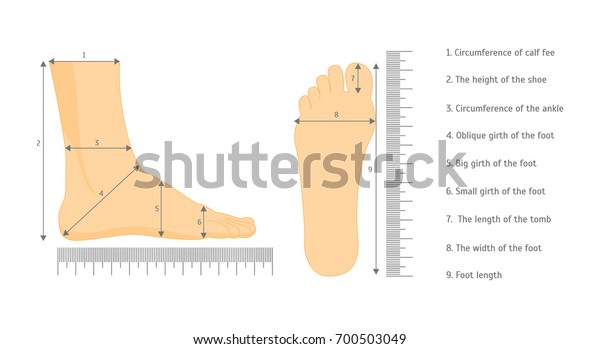 Scheme Square Measure Human Feet Shoe Stock Vector (Royalty Free ...