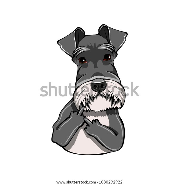 Schnauzer Dog Middle Finger Gesture Dog: vector de stock (libre de ...