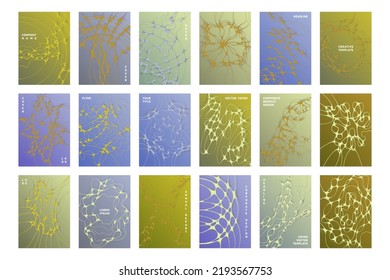 Science Brochure Cover Templates Vector Set Stock Vector (Royalty Free ...
