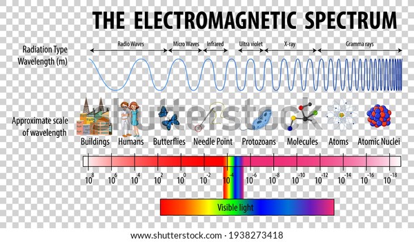 Science Electromagnetic Spectrum Diagram On Transparent Stock Vector ...