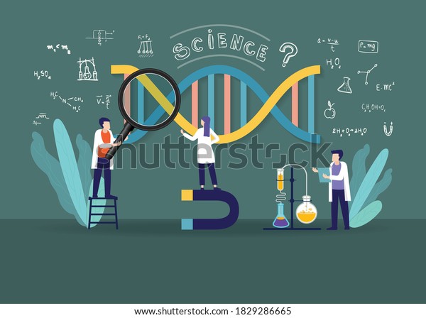 Science Lab Staff Performing Various Experiments Stock Vector (Royalty ...
